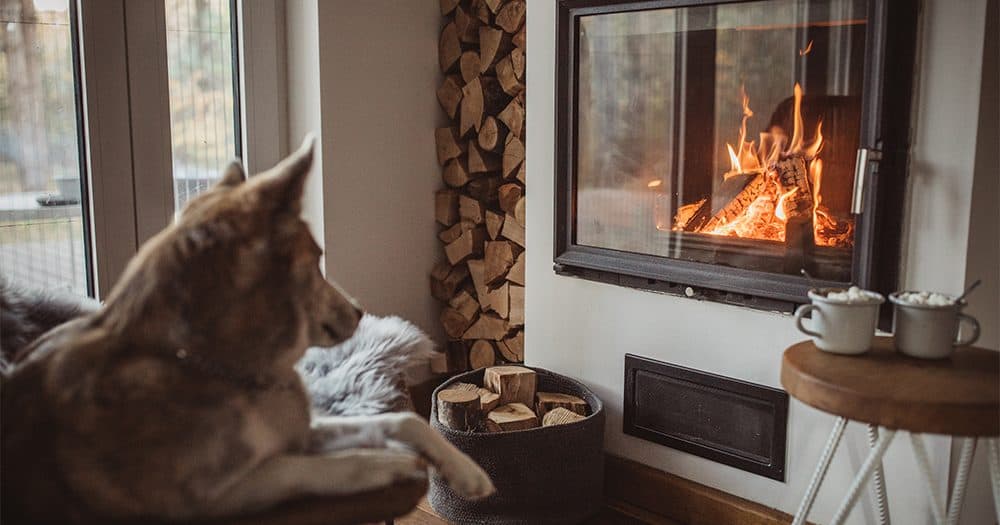 Five ways to create the perfect winter interior | Elders Real Estate